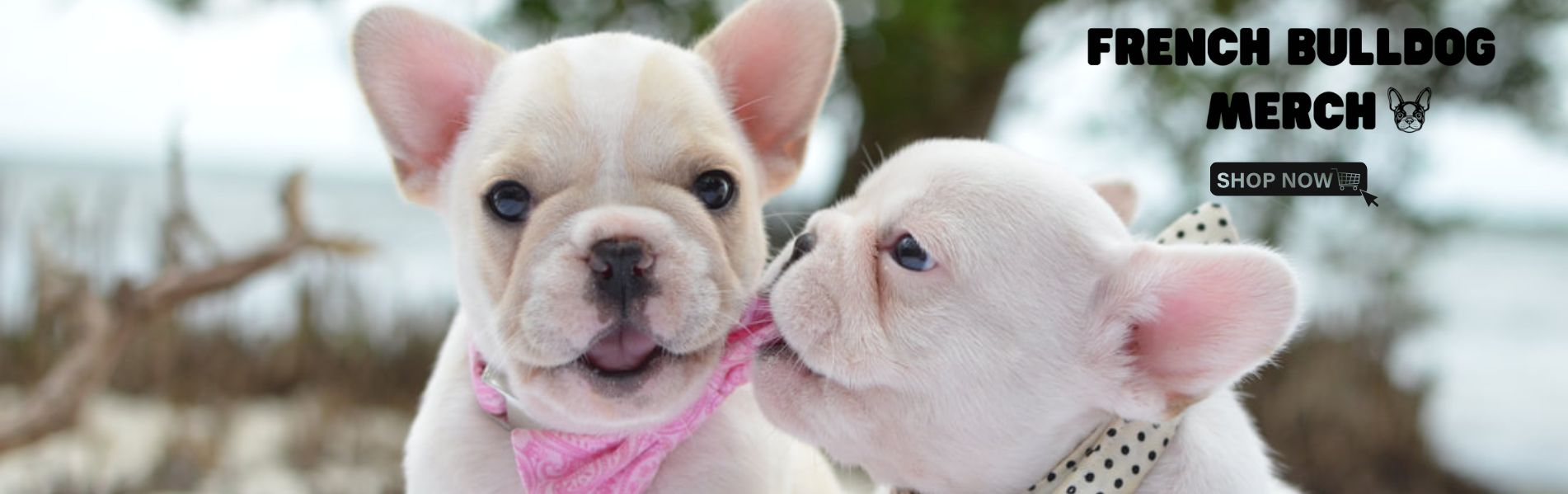 10+ Personalized French Bulldog Metal Signs for 2025